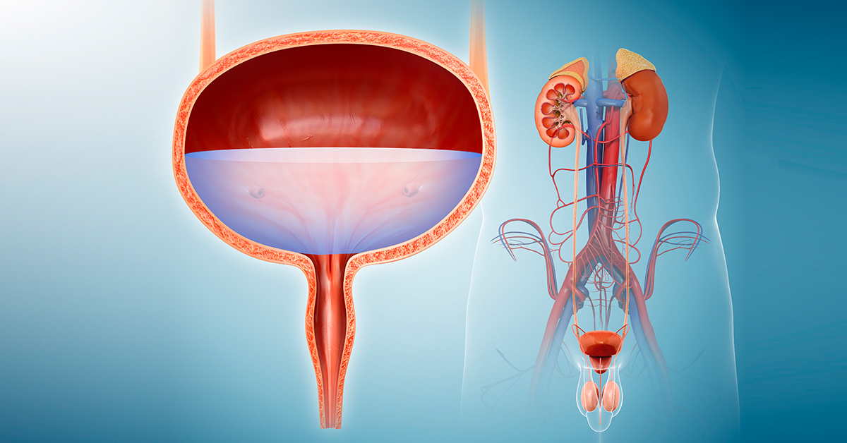 Water Vapor Therapy for Urinary Issues | Hackensack Meridian Health